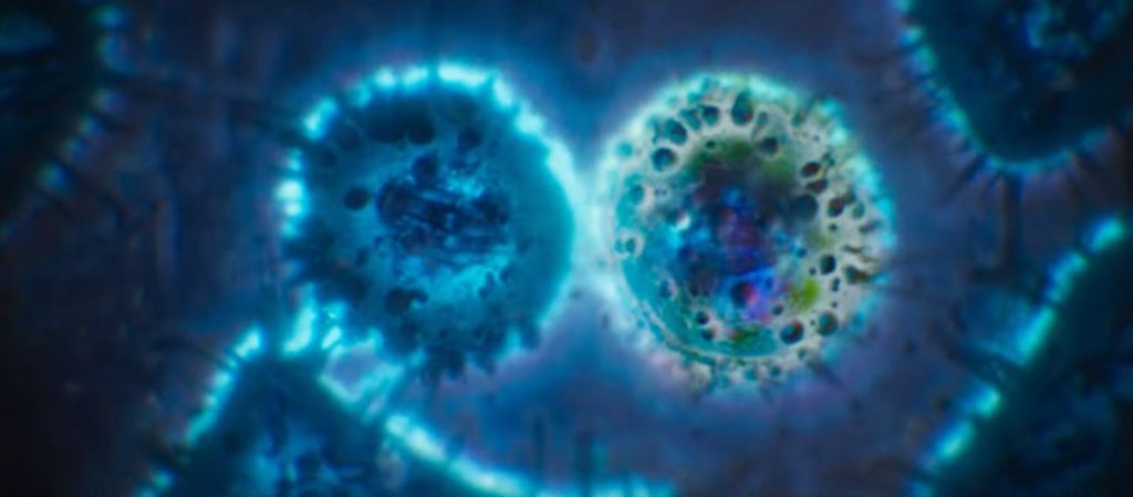 Annihilation Movie Explained: The Ending, Plot, Spoilers – Blimey