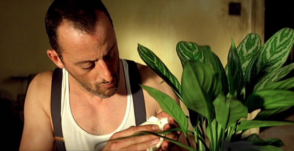 Léon: The Professional Ending Explained & Film Analysis – Blimey